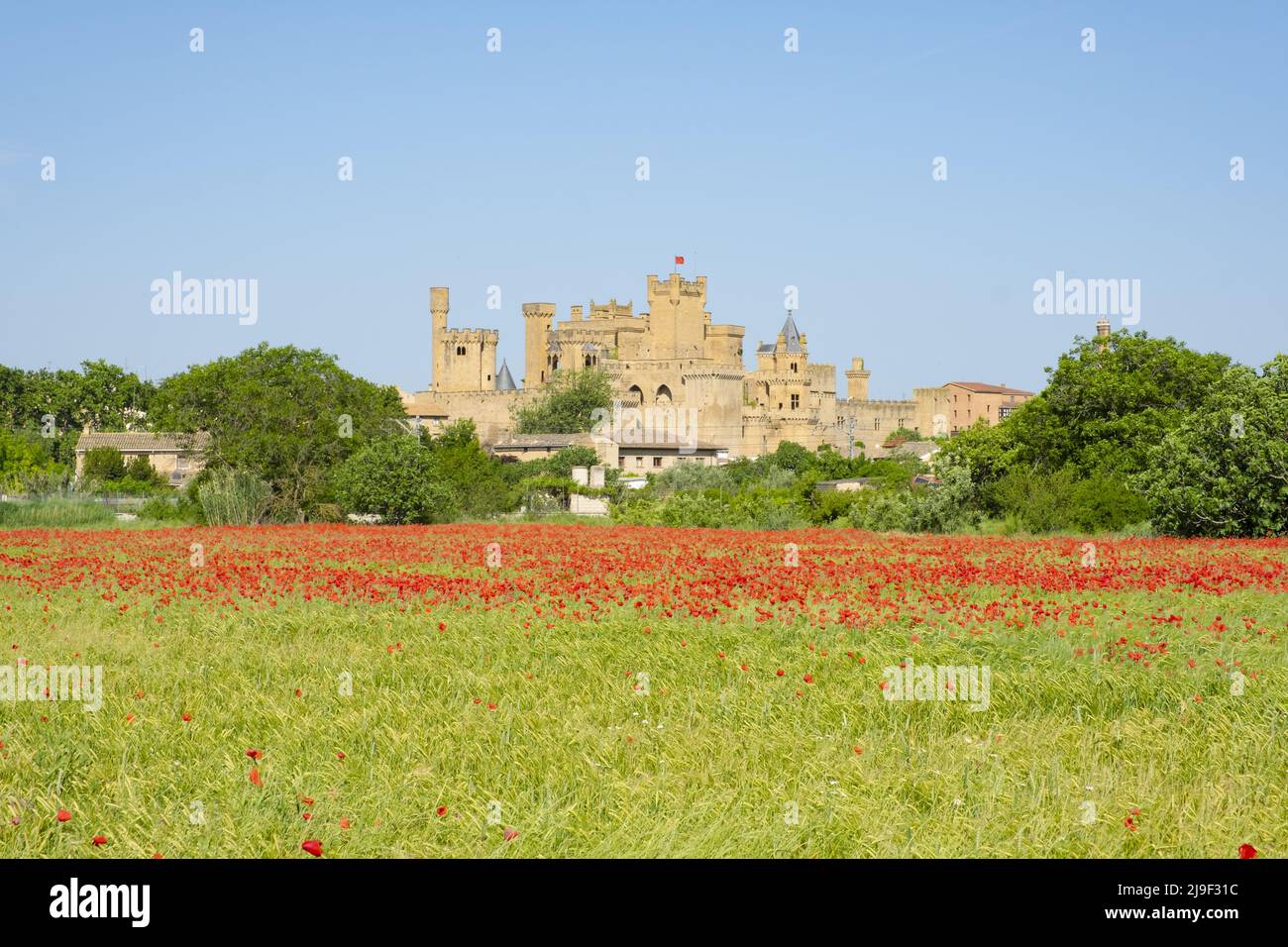 Poppies in spring castle hi-res stock photography and images - Alamy