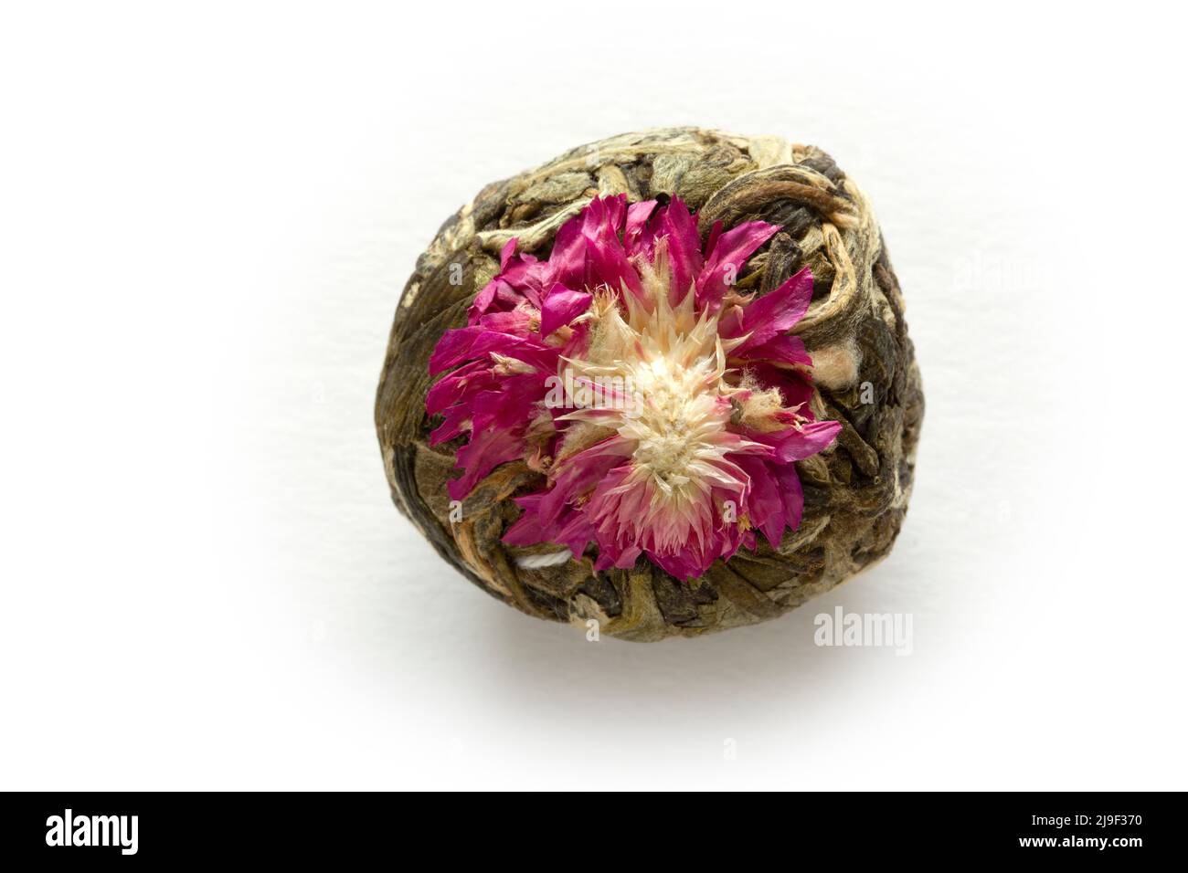 Flower tea plant camellia Cut Out Stock Images & Pictures - Alamy