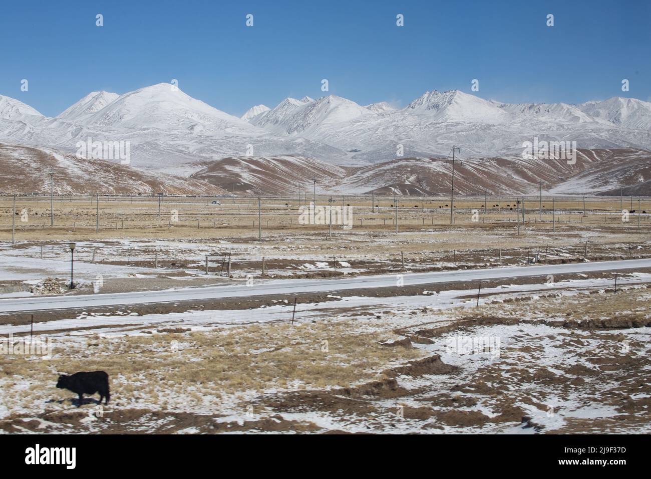 Tibetan plateau train hi-res stock photography and images - Alamy