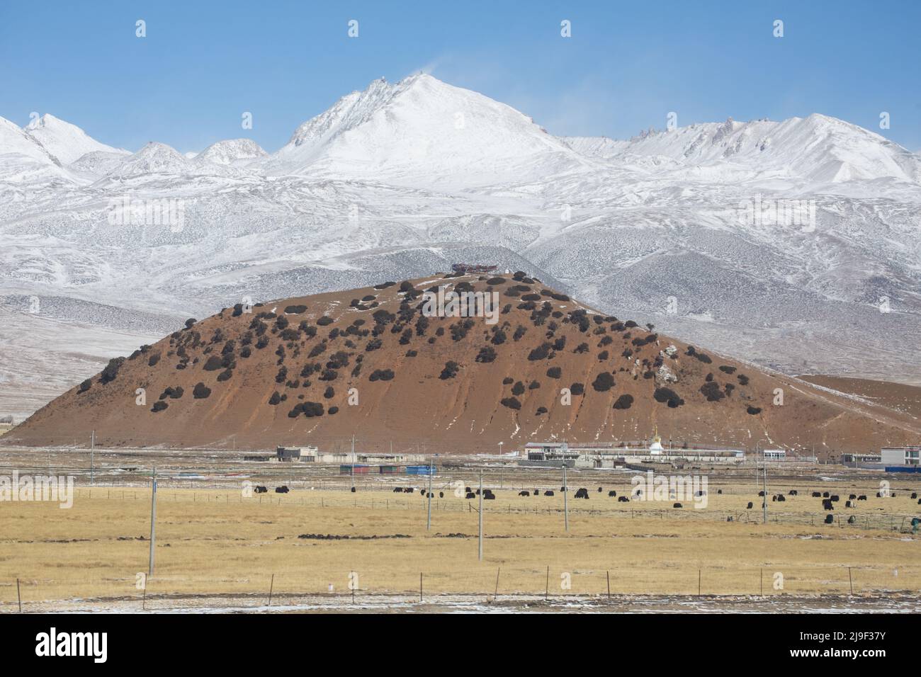 Tibetan plateau train hi-res stock photography and images - Alamy