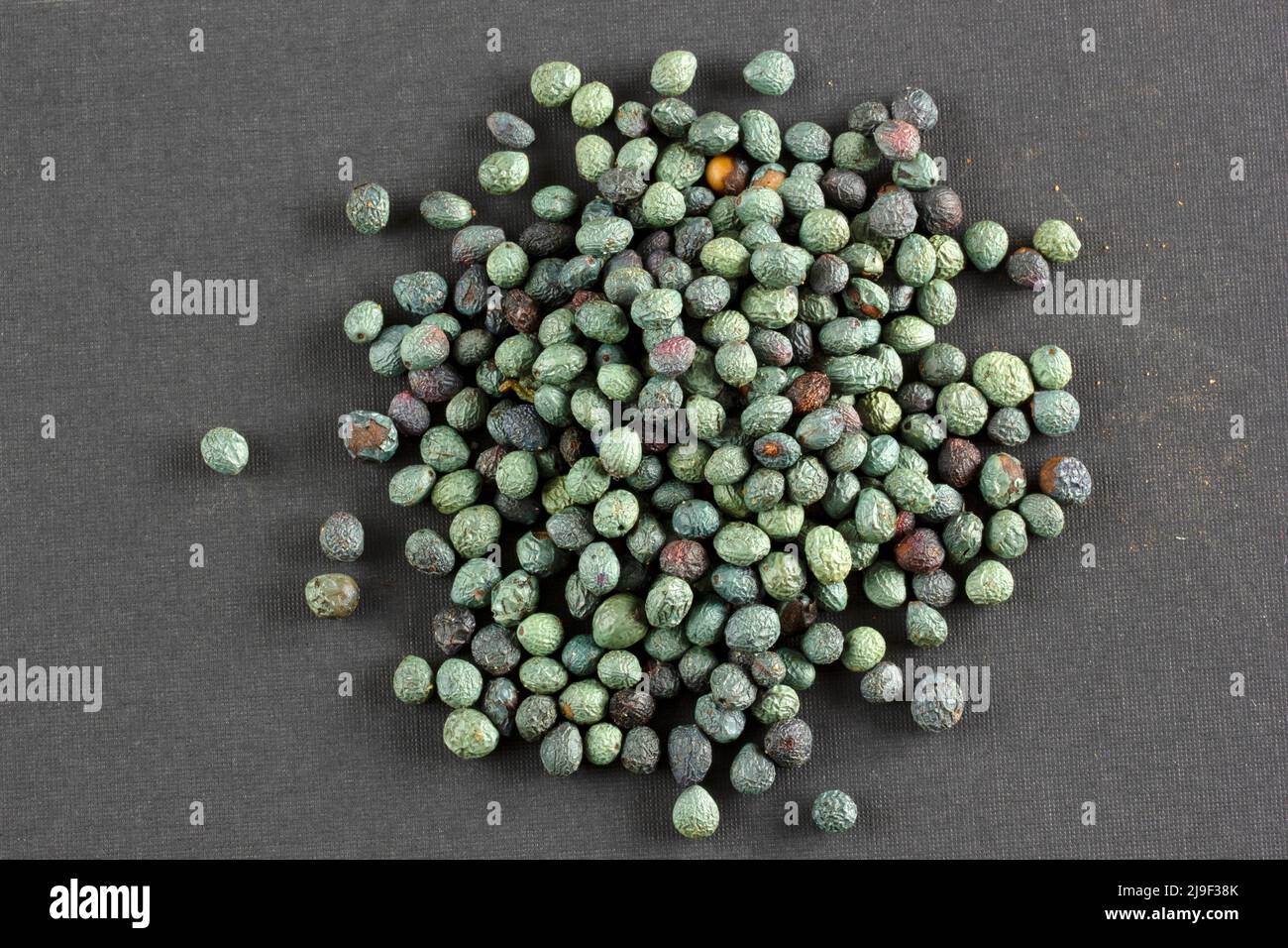 Pistacia terebinthus, Fruits of Terebinth. Menengic seeds. Citlembik ...