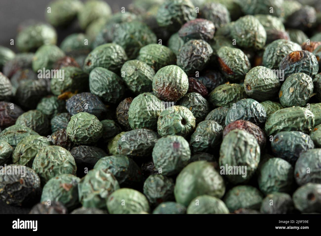 Pistacia terebinthus, Fruits of Terebinth. Menengic seeds. Citlembik ...