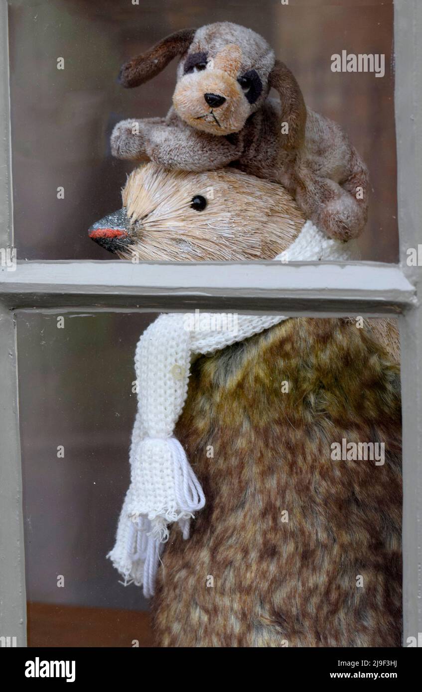 Soft toys in window display hi-res stock photography and images - Alamy