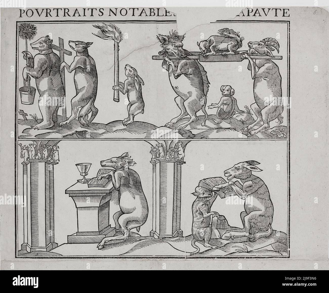 Papacy allegory hi-res stock photography and images - Alamy