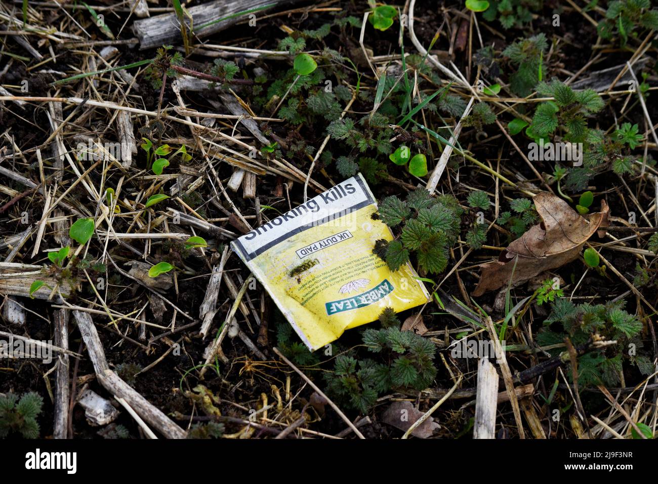 discard tobacco packet Stock Photo - Alamy