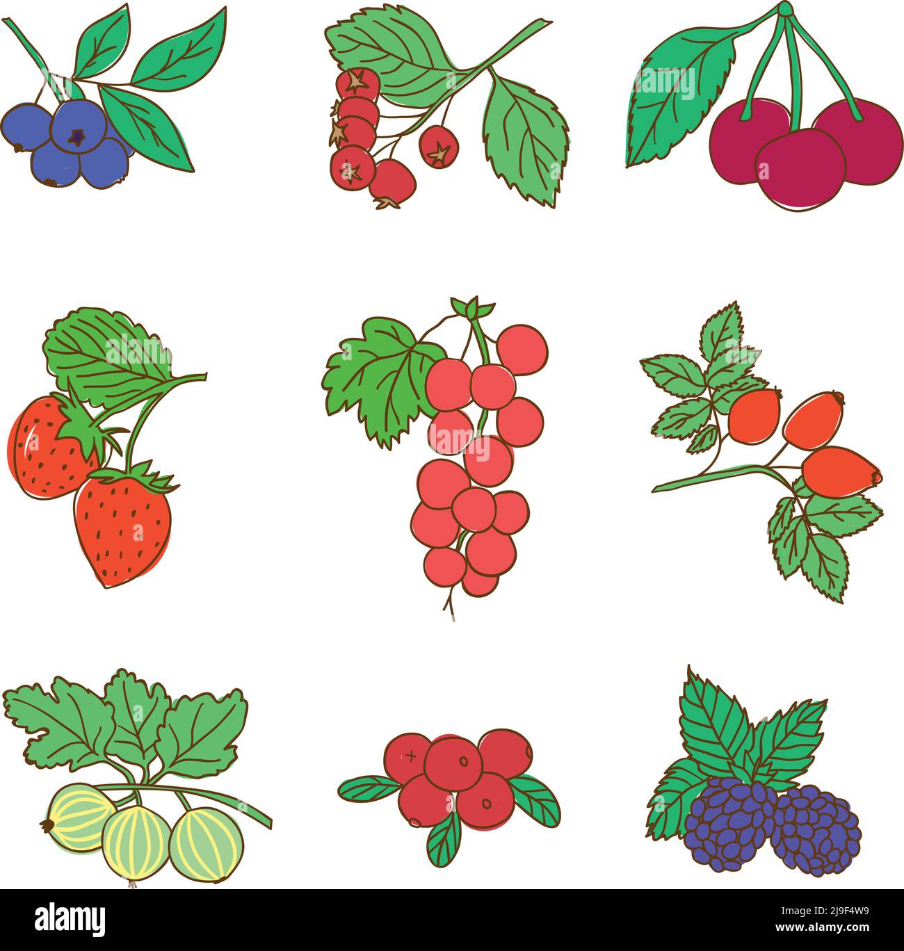 Colored graphic natural food set with different kinds of botanical ...