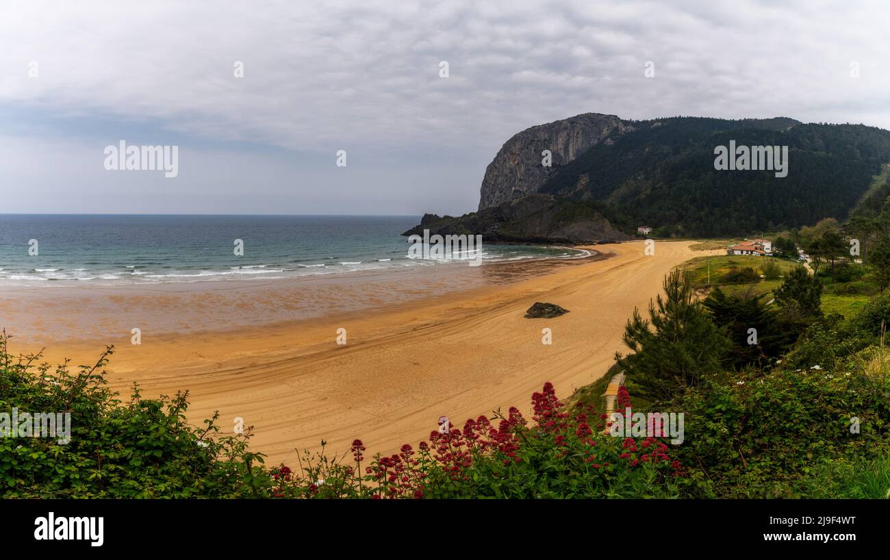 A view of the picturesque bay and beach of Laga in the Spanish Basque ...