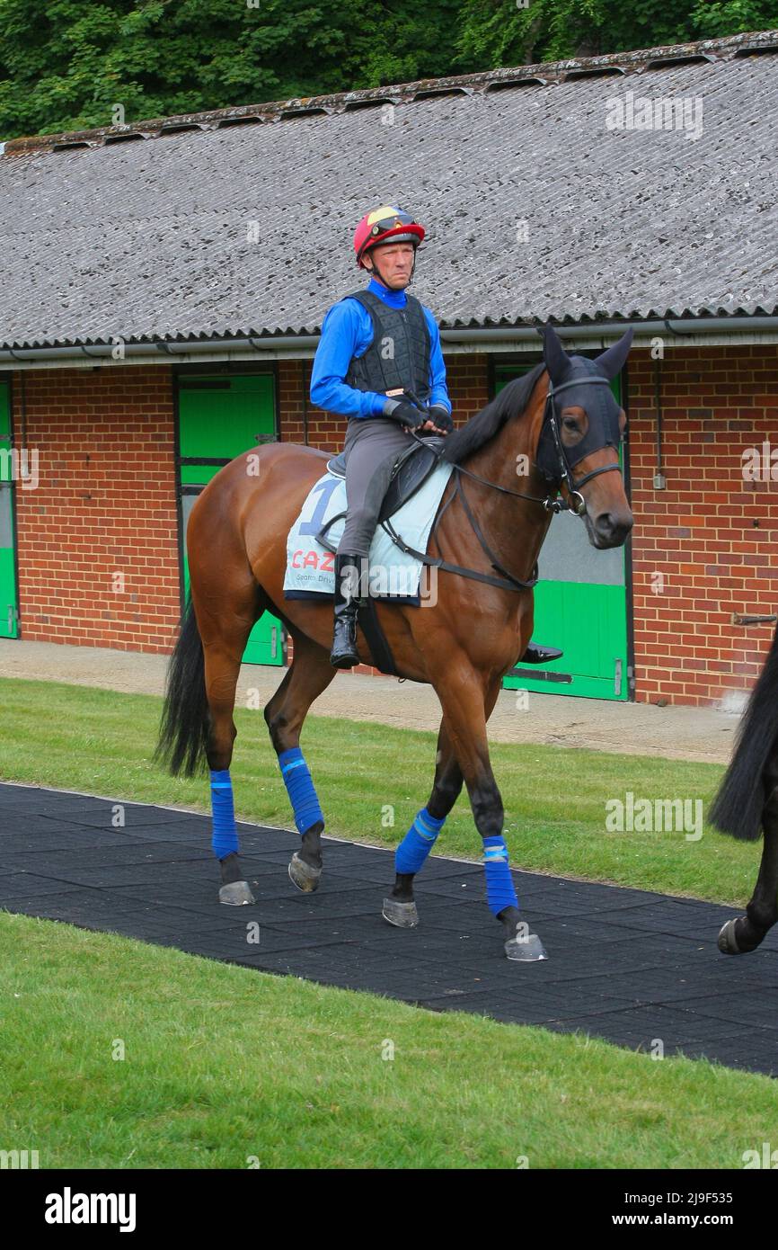 Epsom Downs, Surrey, UK. 23rd May, 2022. Runners for the Cazoo Derby ...