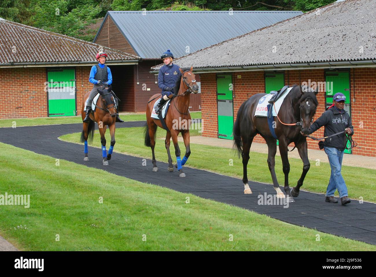 Epsom Downs, Surrey, UK. 23rd May, 2022. Runners for the Cazoo Derby ...