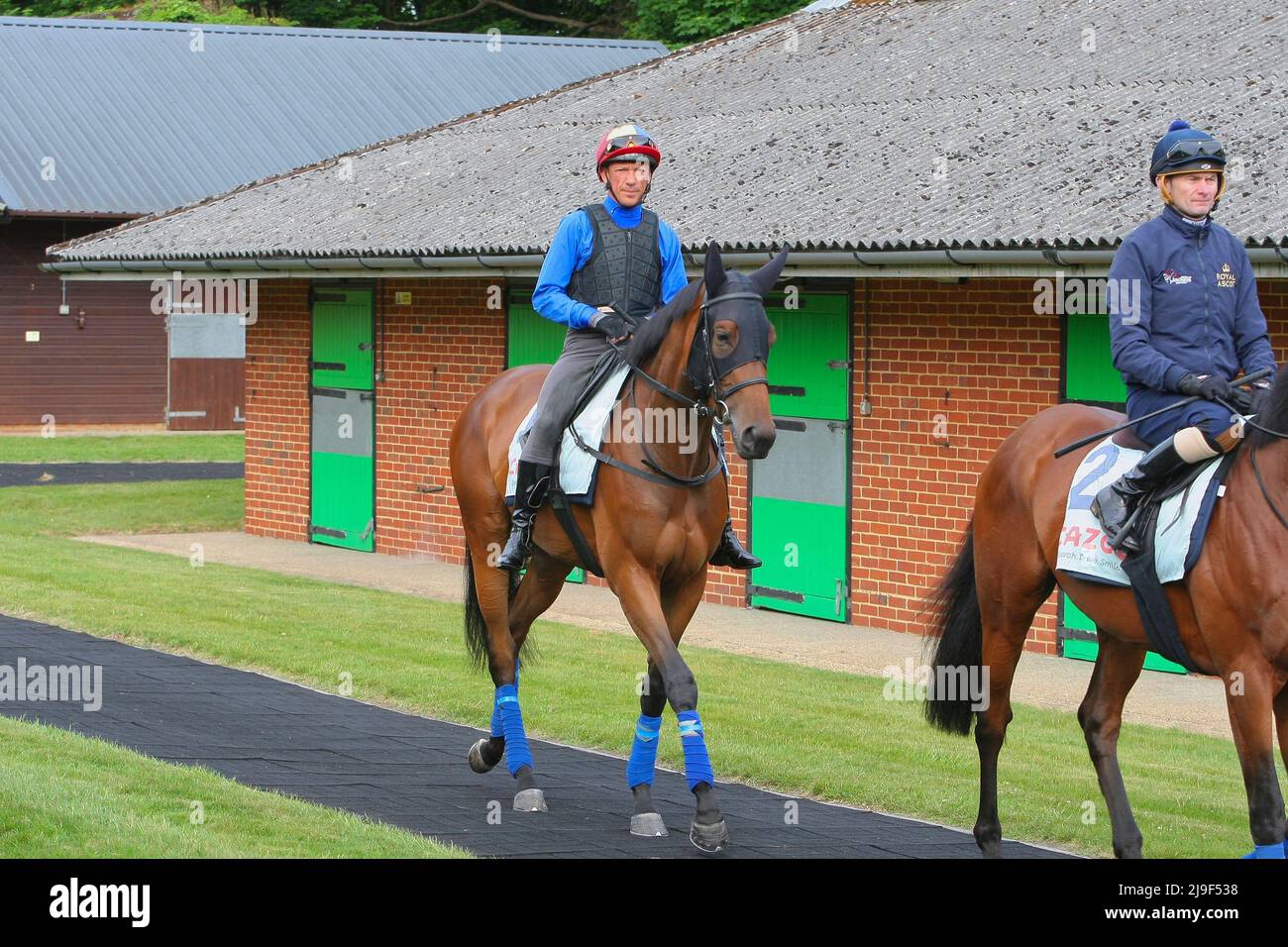 Epsom Downs, Surrey, UK. 23rd May, 2022. Runners for the Cazoo Derby ...