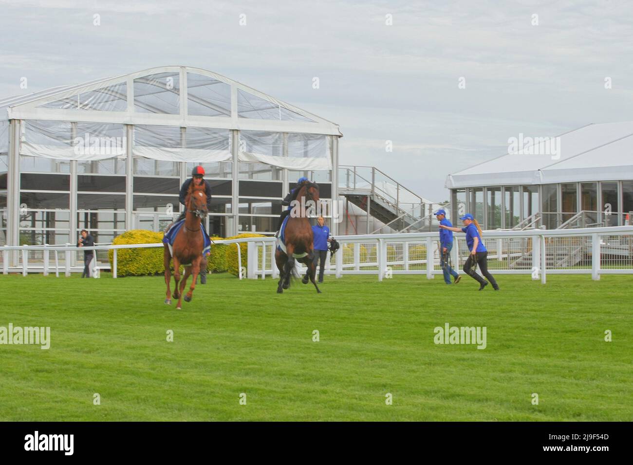 Epsom Downs, Surrey, UK. 23rd May, 2022. Runners for the Cazoo Derby ...