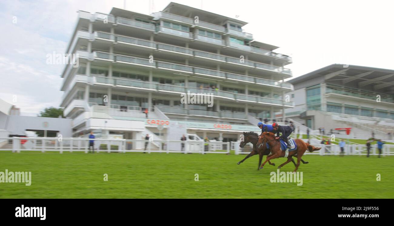 Epsom Downs, Surrey, UK. 23rd May, 2022. Runners for the Cazoo Derby ...