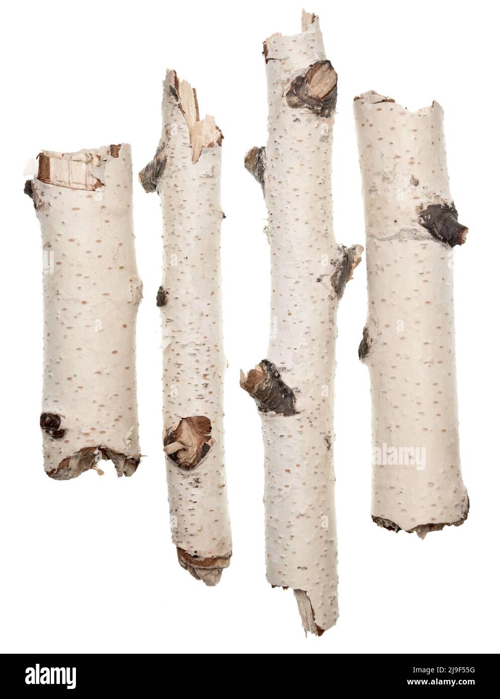 Birch sticks isolated on white background Stock Photo - Alamy