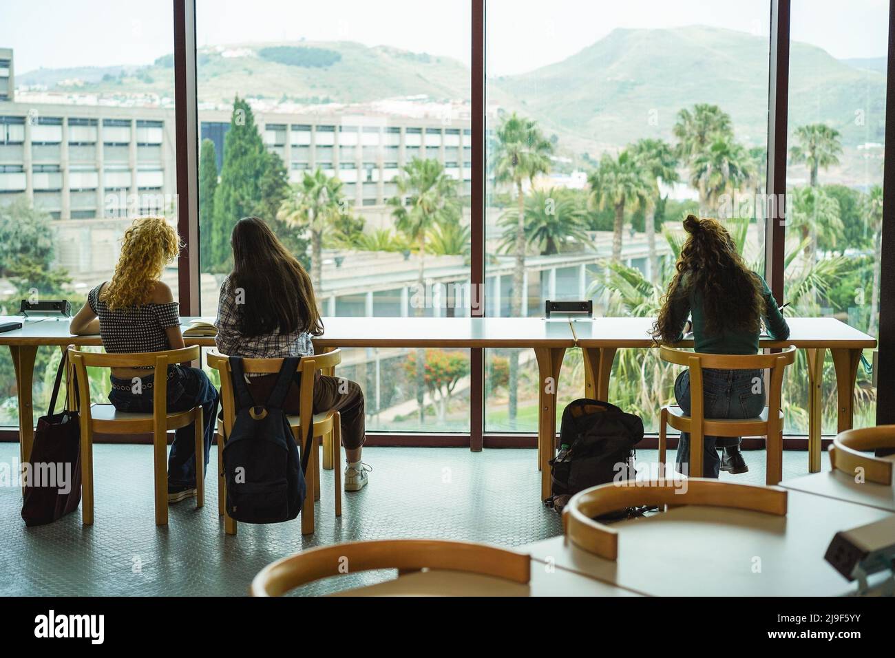 Young group of students studying inside university library - Focus on ...