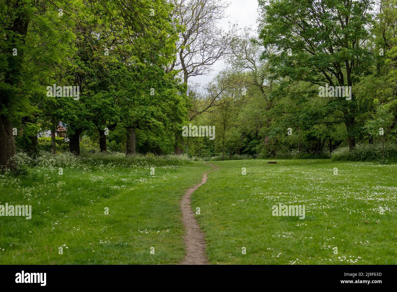 Beautiful wooded area hi-res stock photography and images - Alamy