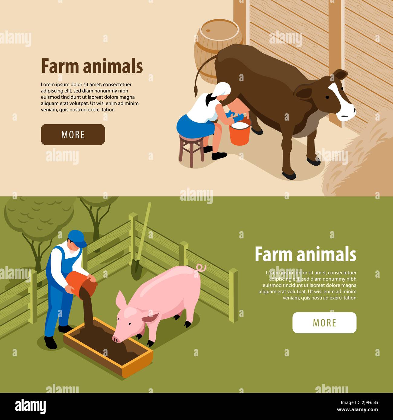 Cattle farm livestock animals 2 horizontal isometric web banners with ...