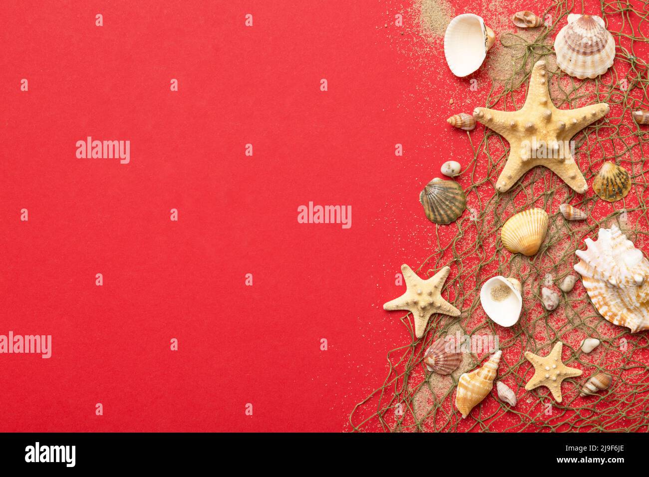 Summer time concept Flat lay composition with beautiful starfish and ...