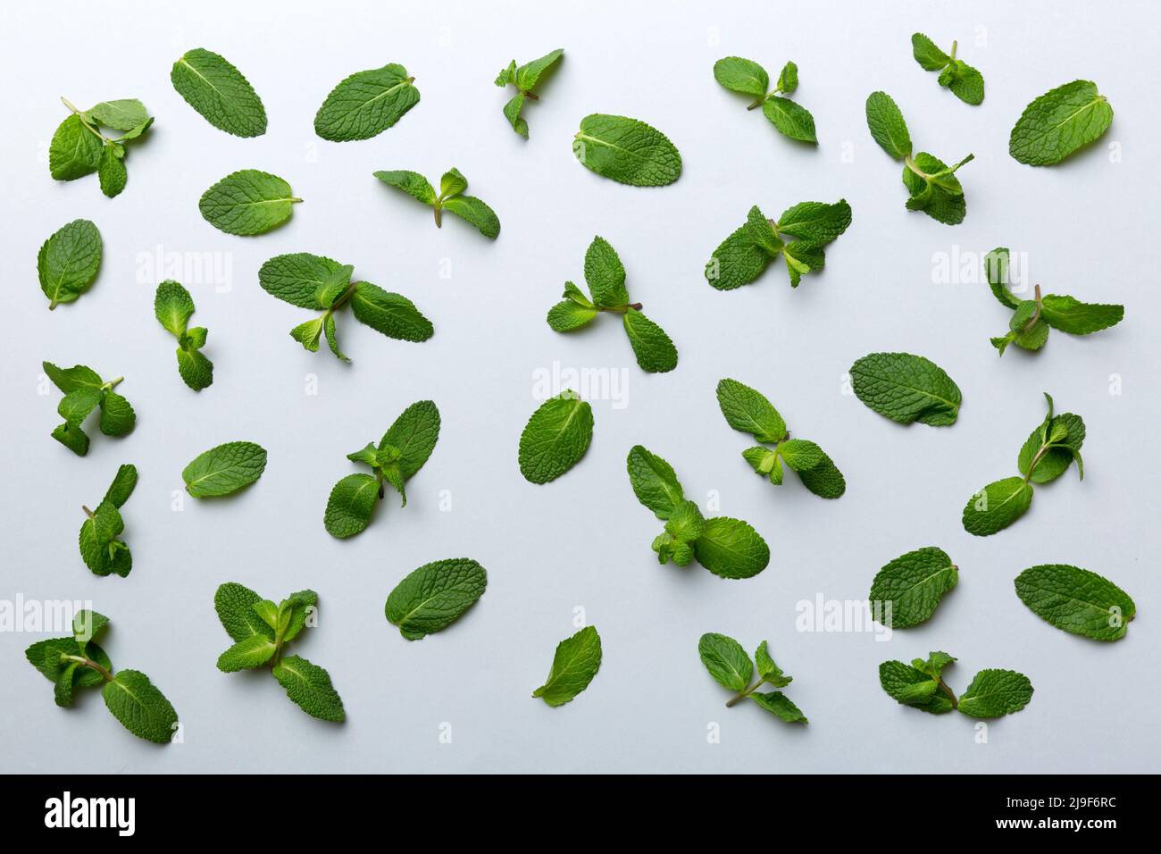 Fresh green mint leaves on white background, Mint leaves pattern Top ...