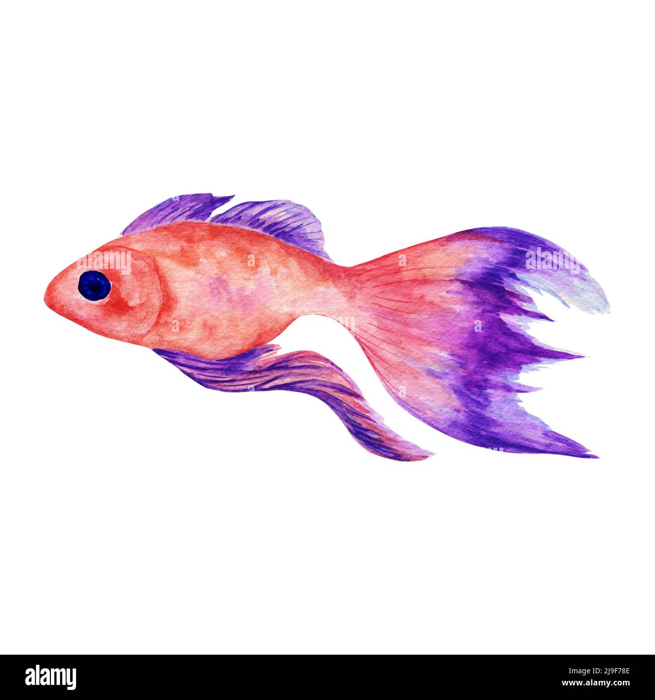 Underwater world of the sea or ocean.Watercolor tropical fish Stock ...