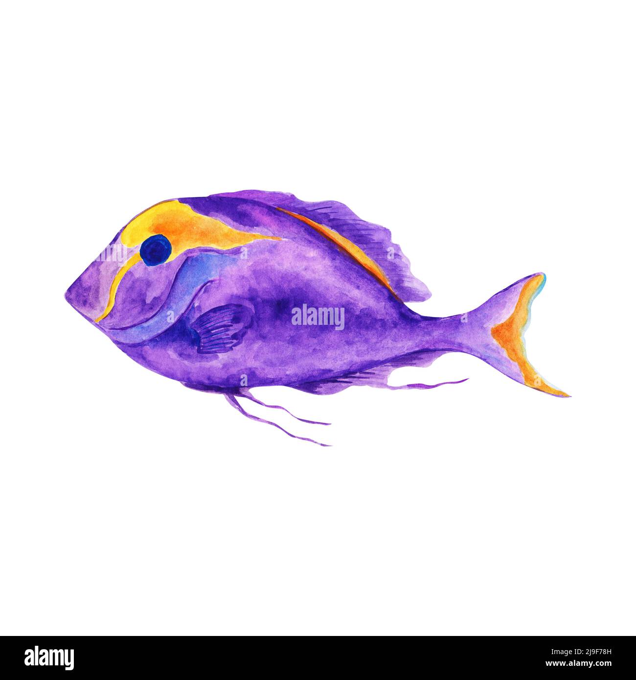 Underwater world of the sea or ocean.Watercolor tropical fish Stock ...