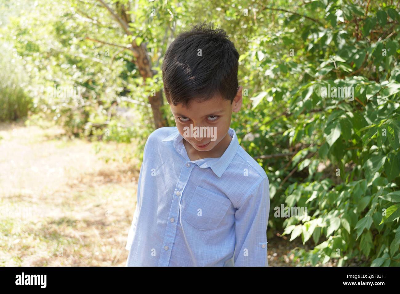 boy looking out of sight in front of a natural green background Stock ...