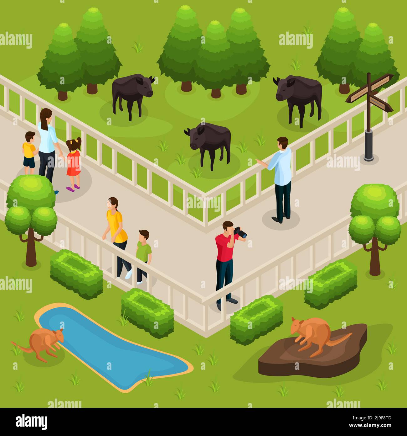 Isometric zoo template with people watching and photographing buffalos ...