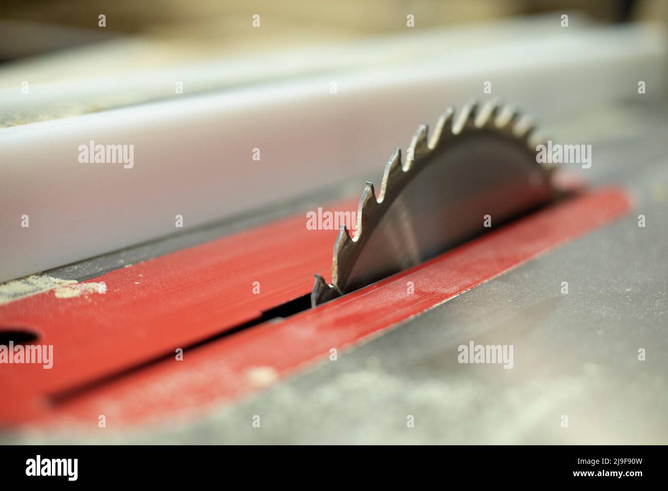 Circular saw for wood. Sharp blade. Machine for cutting boards Stock ...