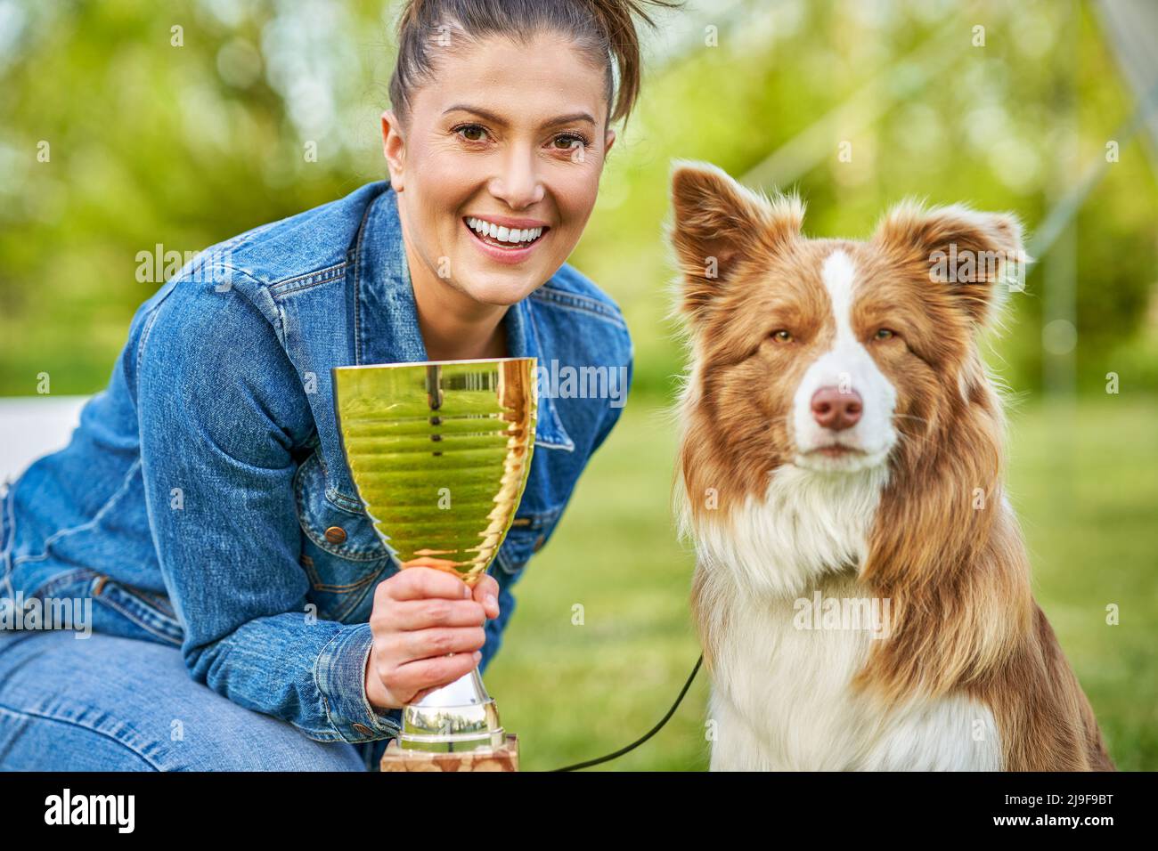 Chocolate White Border Collie with woman owner Stock Photo - Alamy