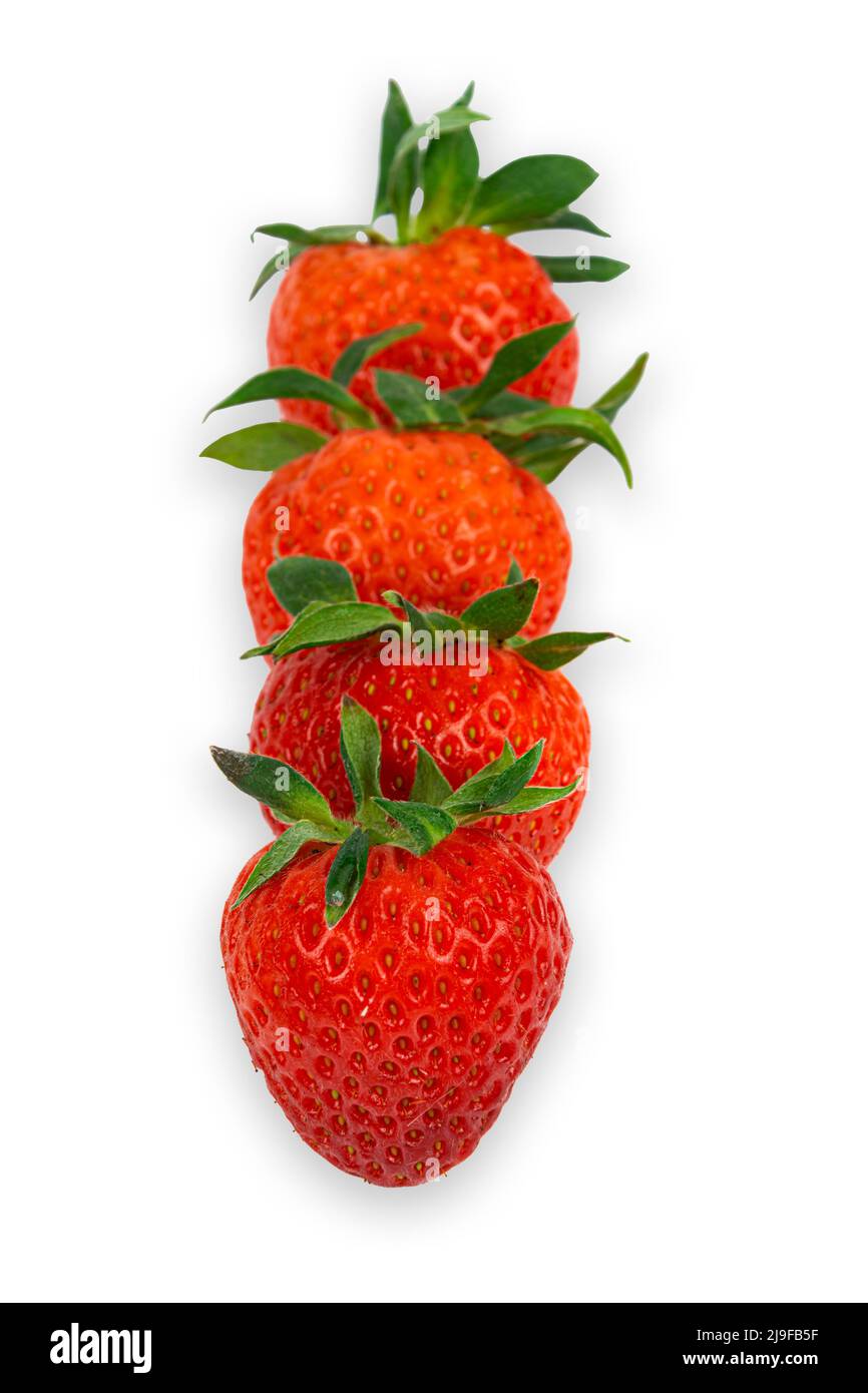 Red fresh ripe delicious strawberry with green leaf Stock Photo - Alamy
