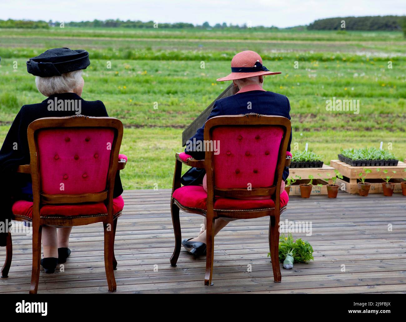 Princess Beatrix of The Netherlands and Queen Margrethe of Denmark in ...