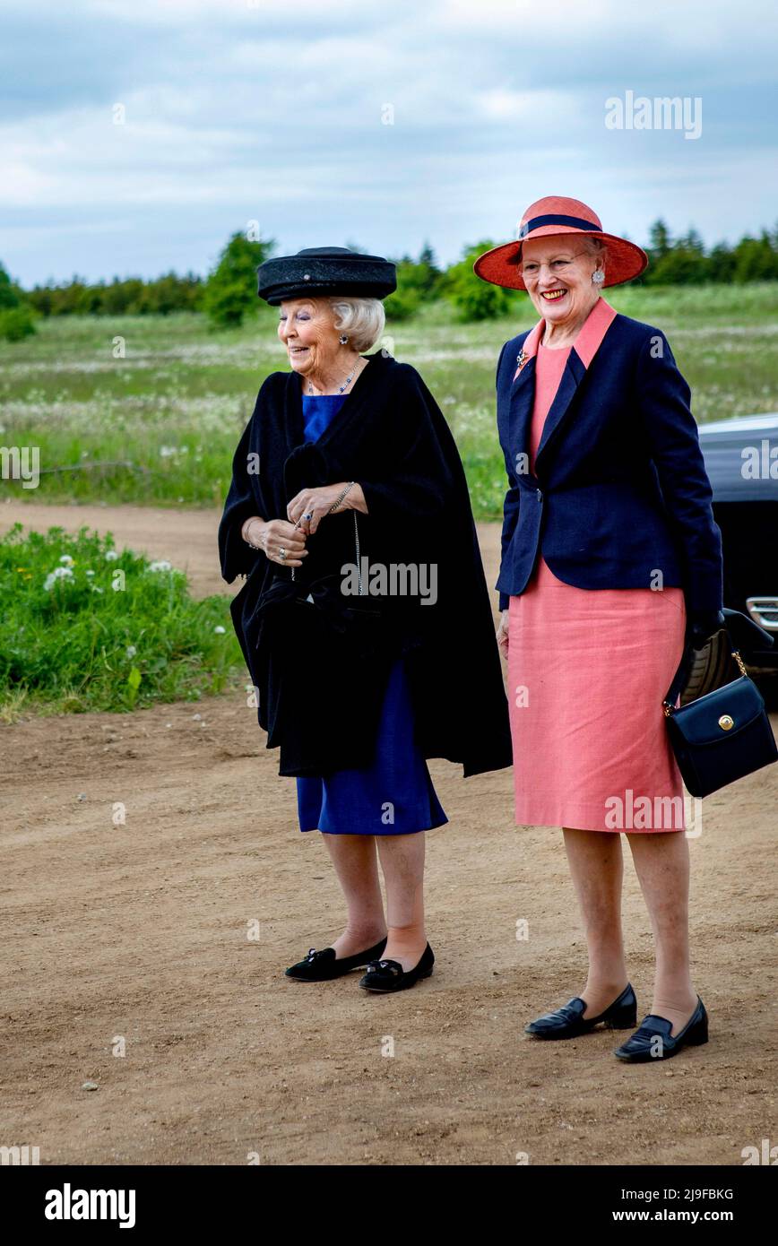 Princess Beatrix of The Netherlands and Queen Margrethe of Denmark in ...