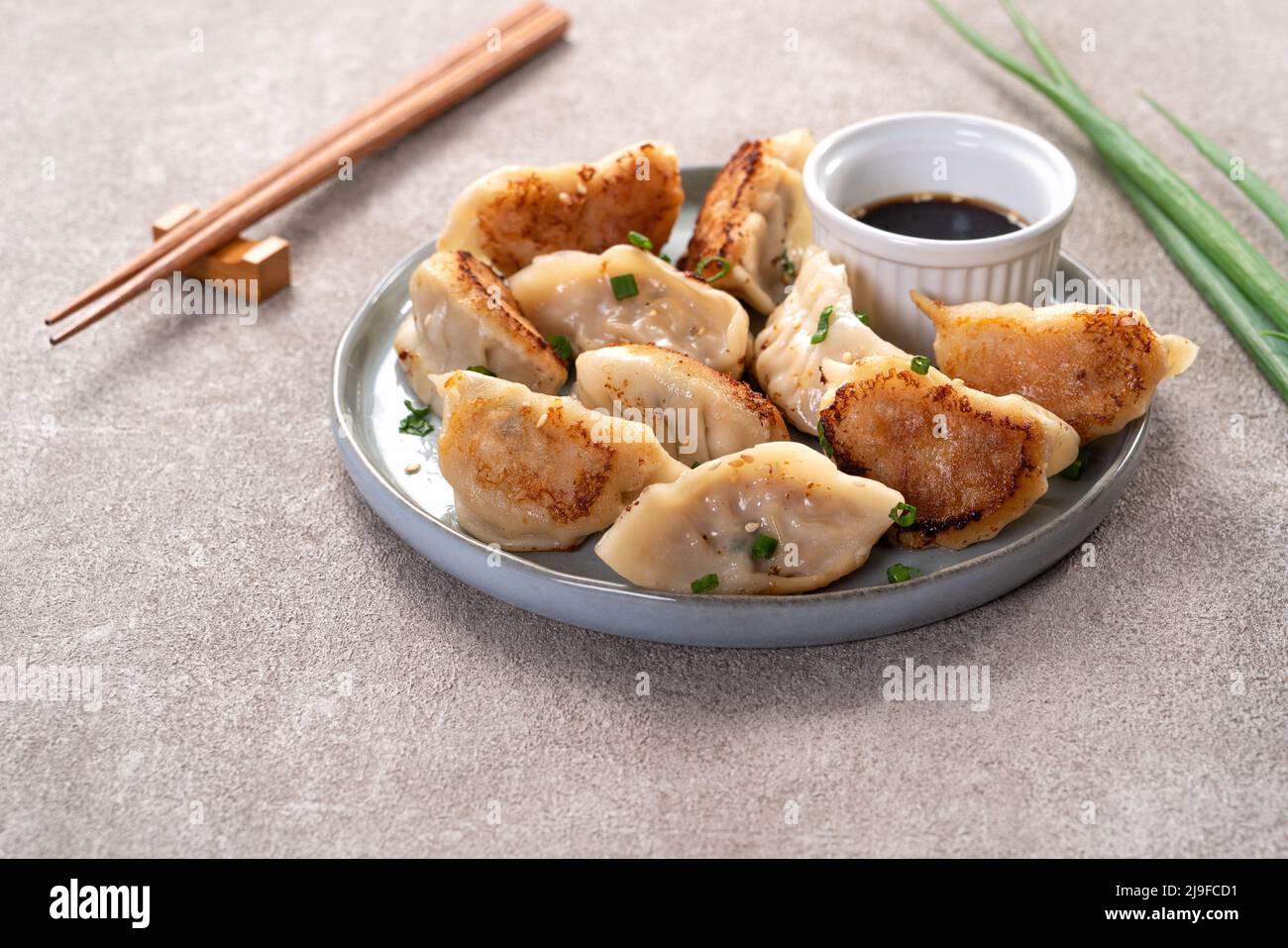Taiwanese and Japanese Pan-fried gyoza dumpling jiaozi food in a plate with soy sauce on gray ...