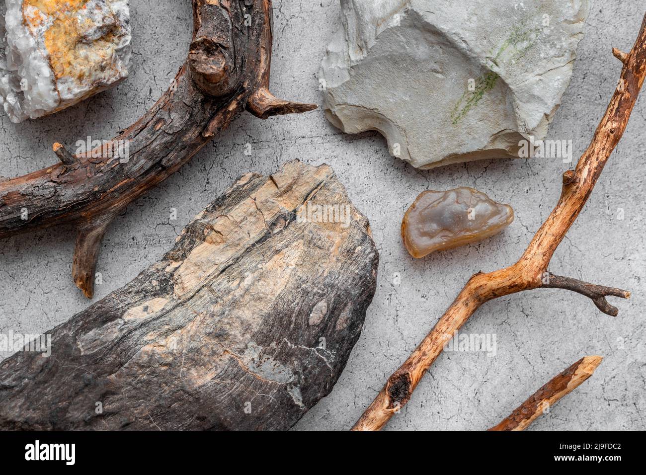 Natural mineral rock stones with snag tree branch Stock Photo - Alamy