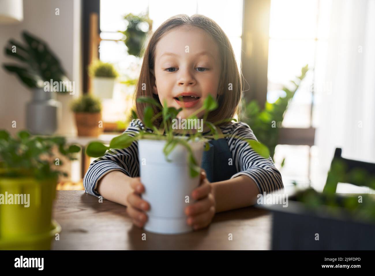 Cute child is caring for plants. Girl engaging in gardening at home ...