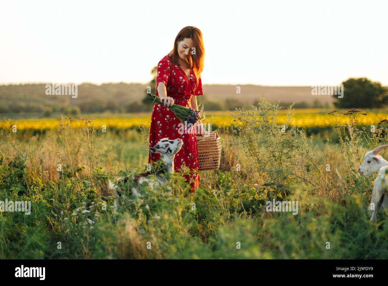 Holidays in the countryside. Rural Countryside Breaks and Getaways ...