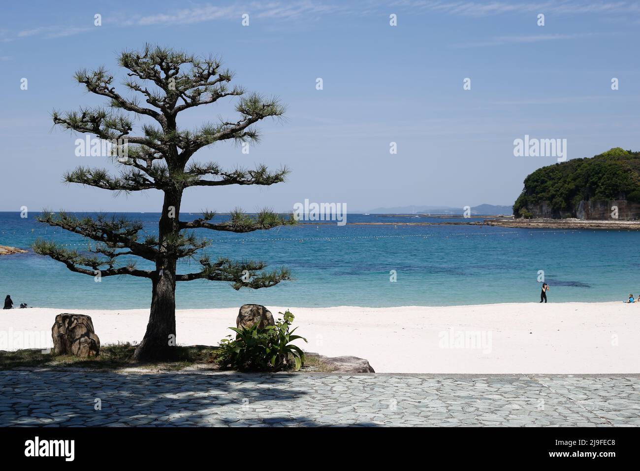 Shirarahama Beach, japan, 2022/02/05 , Shirarahama Beach during golden ...