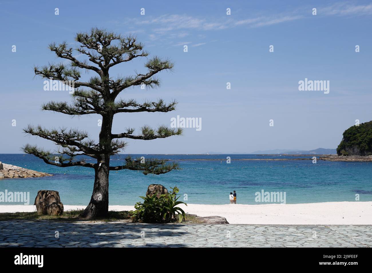 Shirarahama Beach, japan, 2022/02/05 , Shirarahama Beach during golden ...