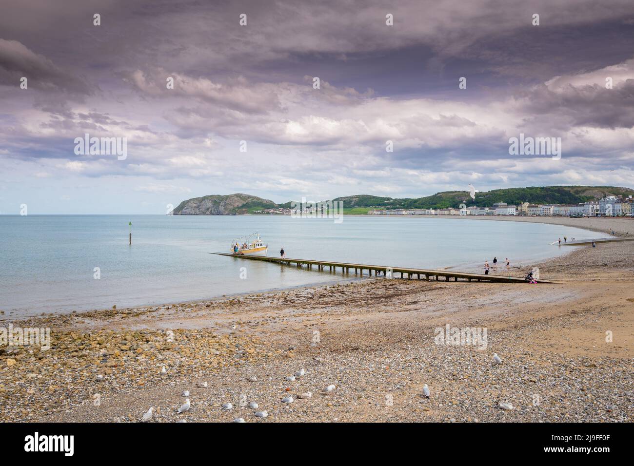 Llandudno beach, Llandudno, Wales at low tide with Victorian hotels ...