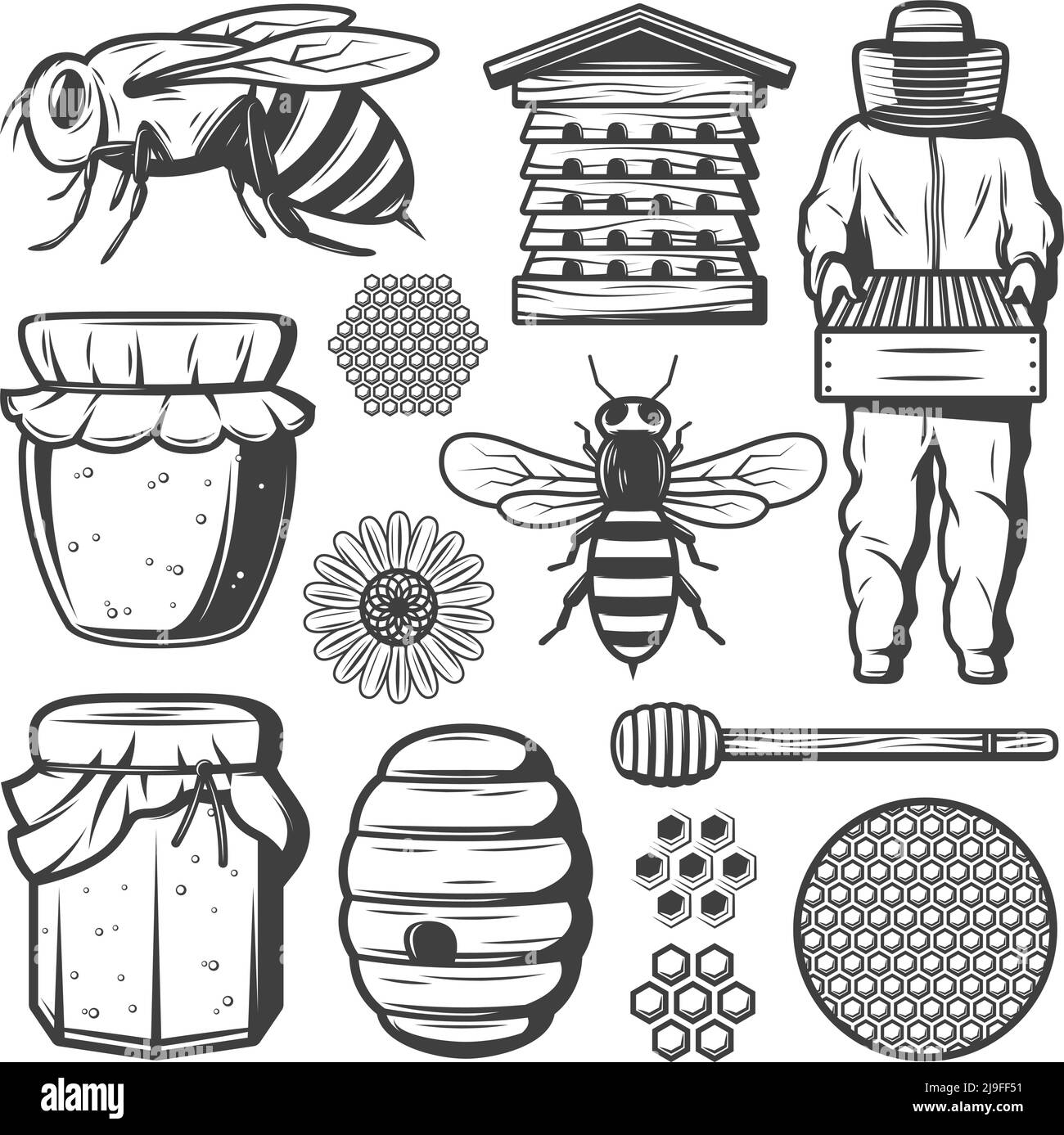 Vintage honey elements collection with bee beehive dipper stick flower ...