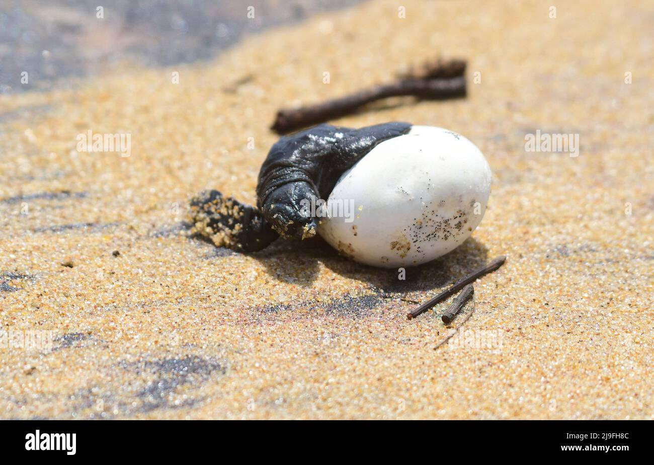 Cyclone ashani hi-res stock photography and images - Alamy