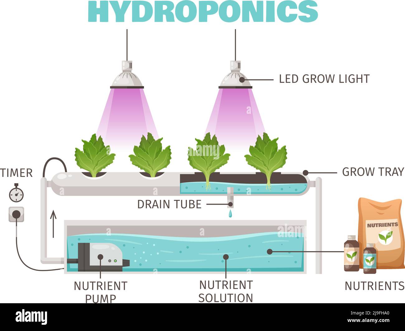 Hydroponics farming concept with vertical water saving symbols cartoon ...