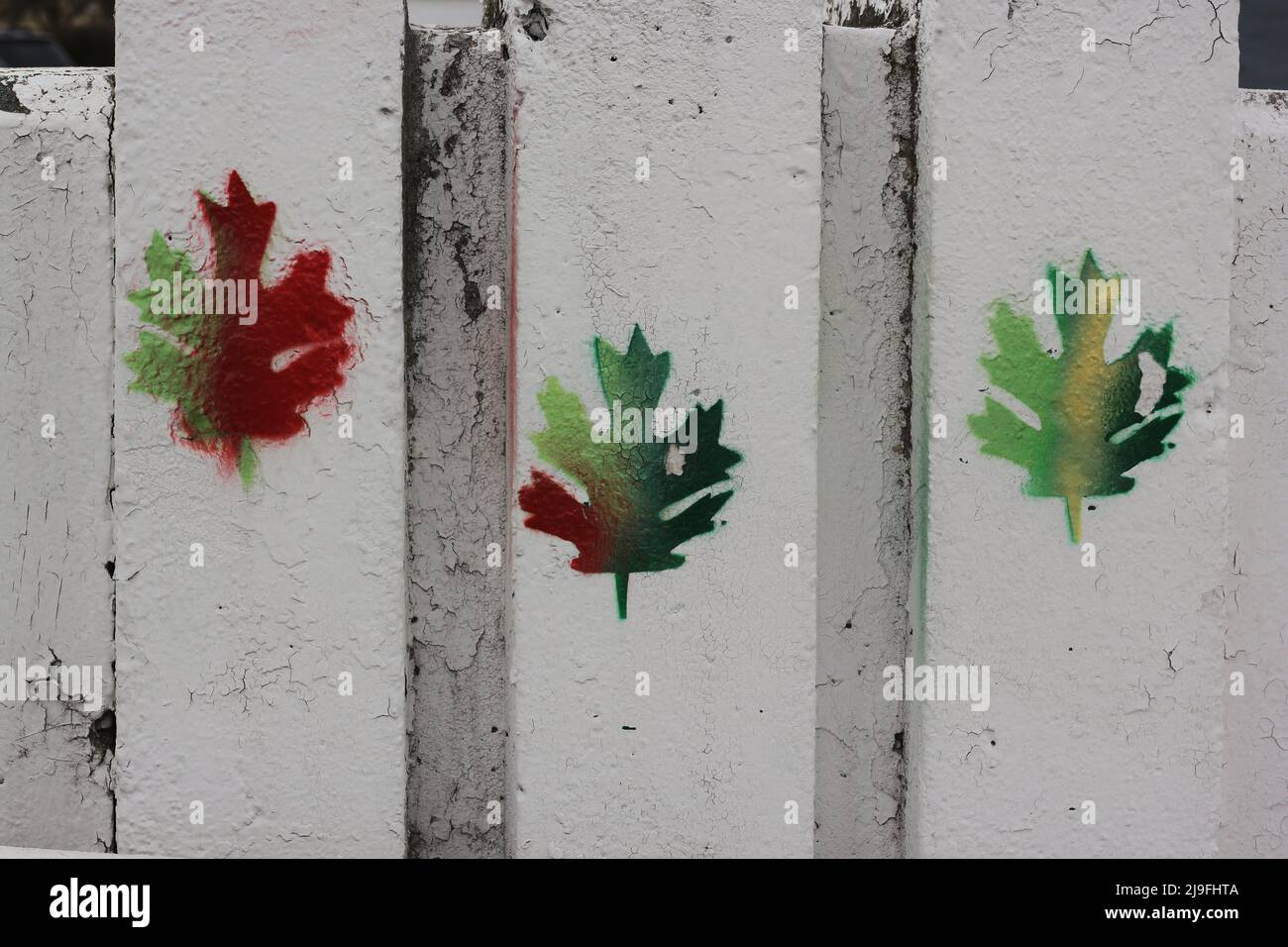 Beautiful hand painted nature art of tree leaves painted on a city wall ...