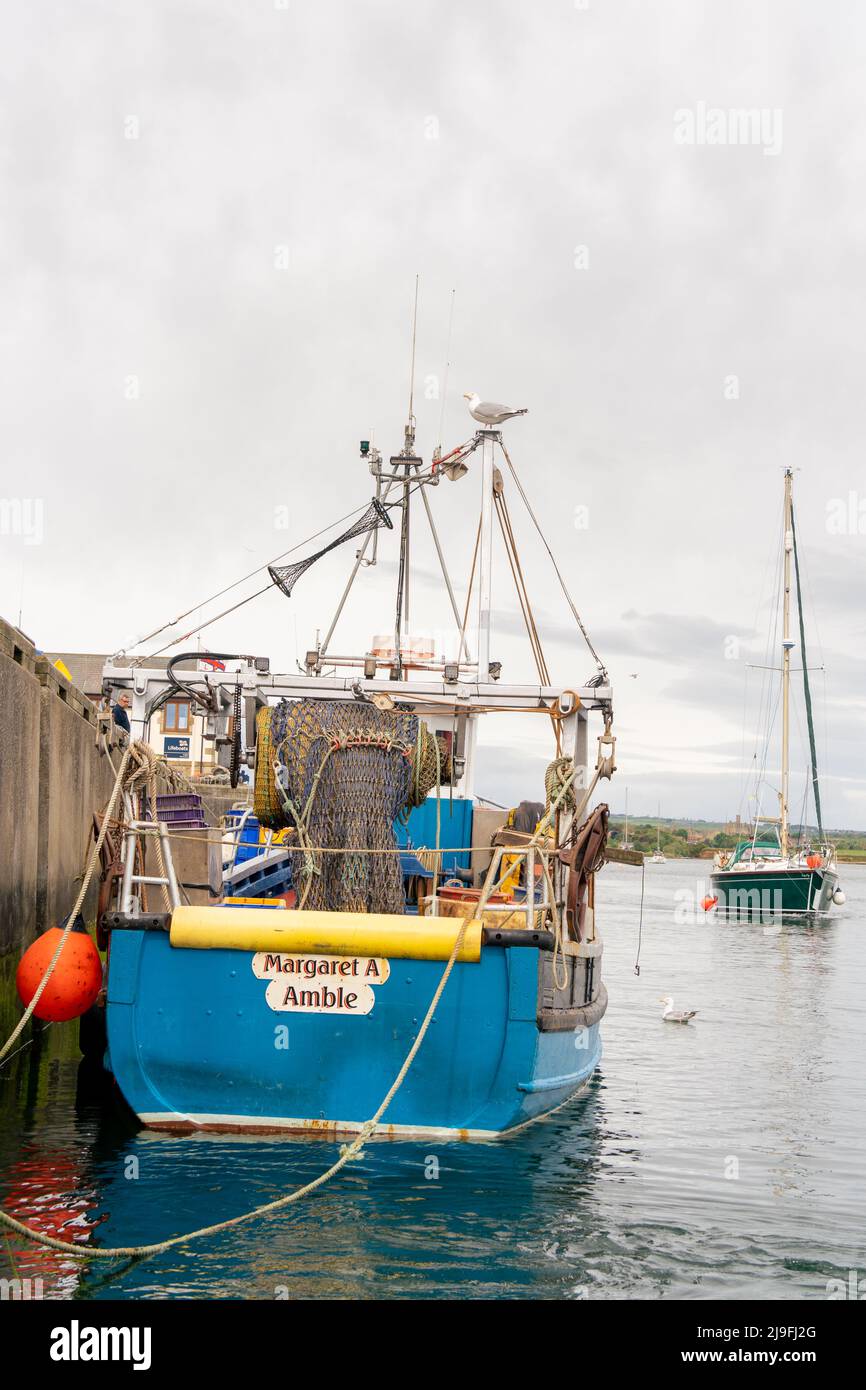 Boats at the harbour of the small fishing town of Amble, Northumberland ...