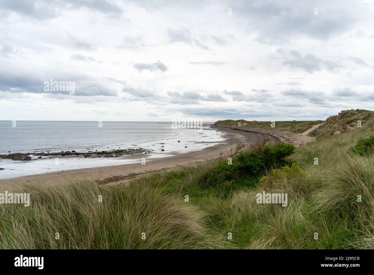 The view at Amble Links beach, Northumberland, UK, with people taking a ...