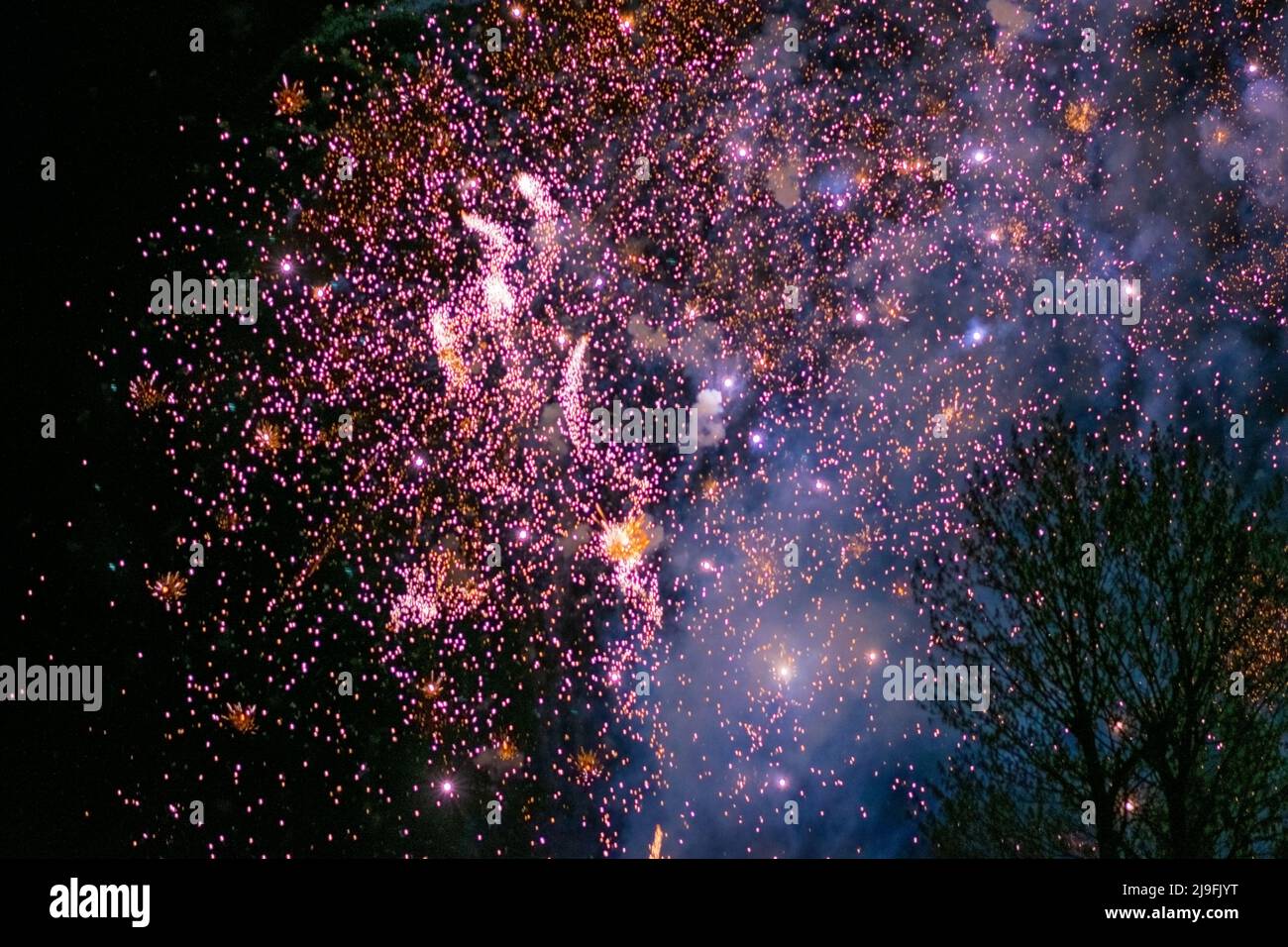 Sparks festive fireworks rose hi-res stock photography and images - Alamy