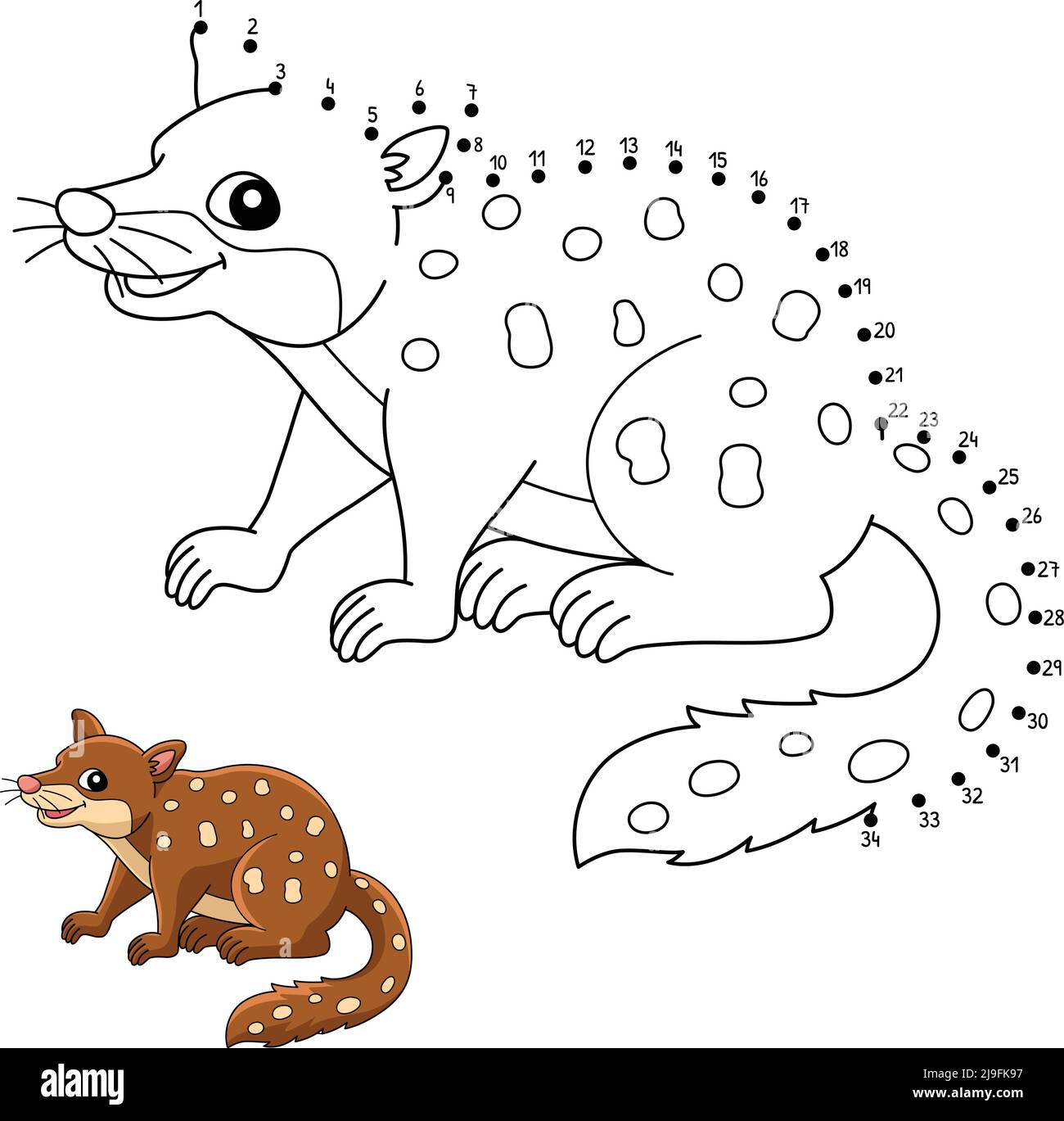 Quoll Cartoon