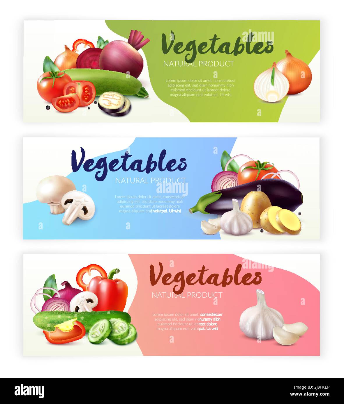 Vegetables slices banner Stock Vector Images - Alamy