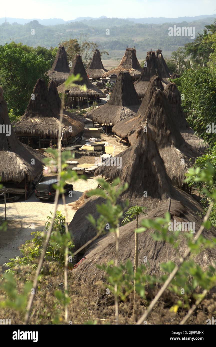Sumbanese traditional houses in the traditional village of Praijing in ...