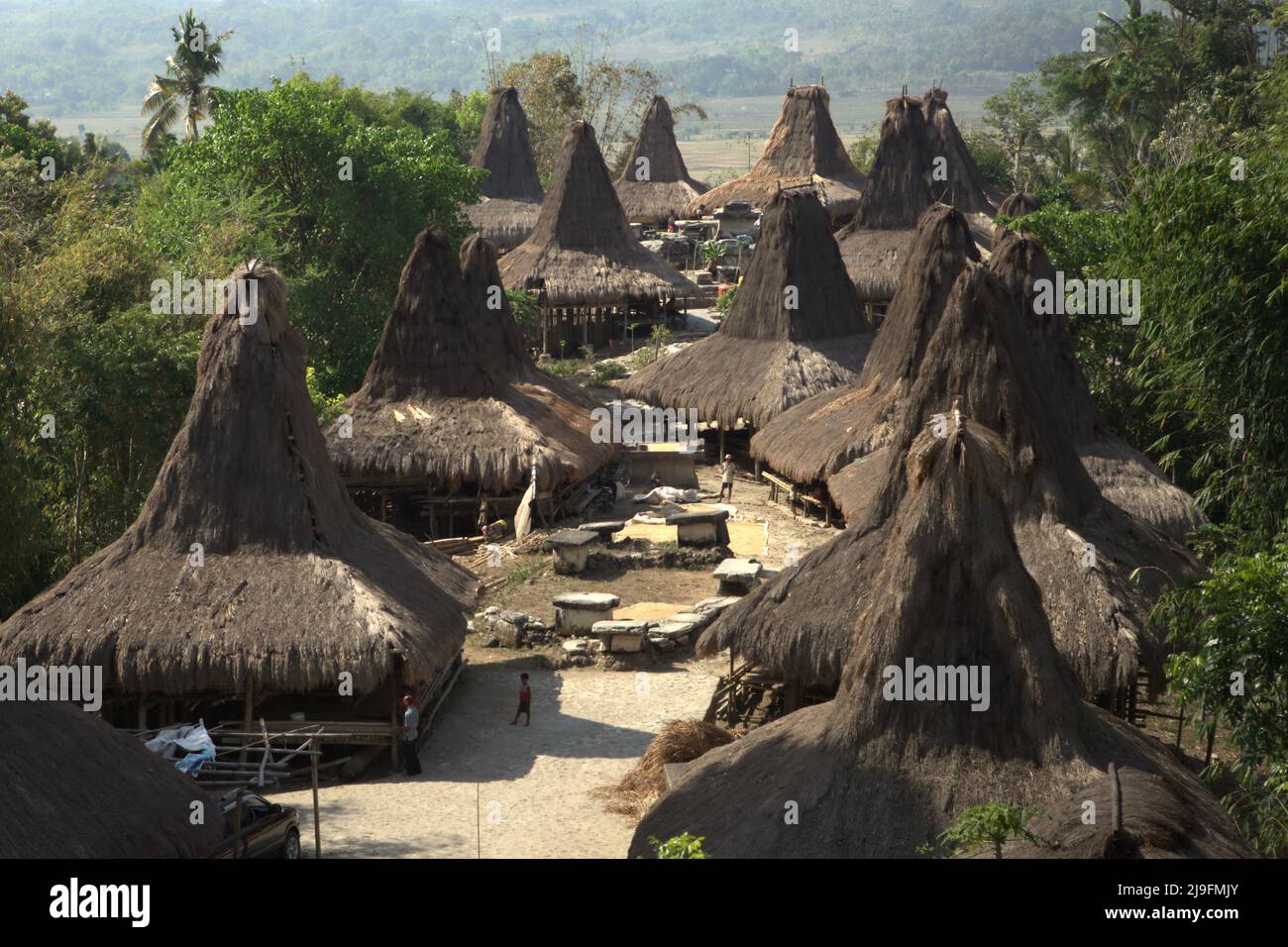 Sumbanese traditional houses in the traditional village of Praijing in ...