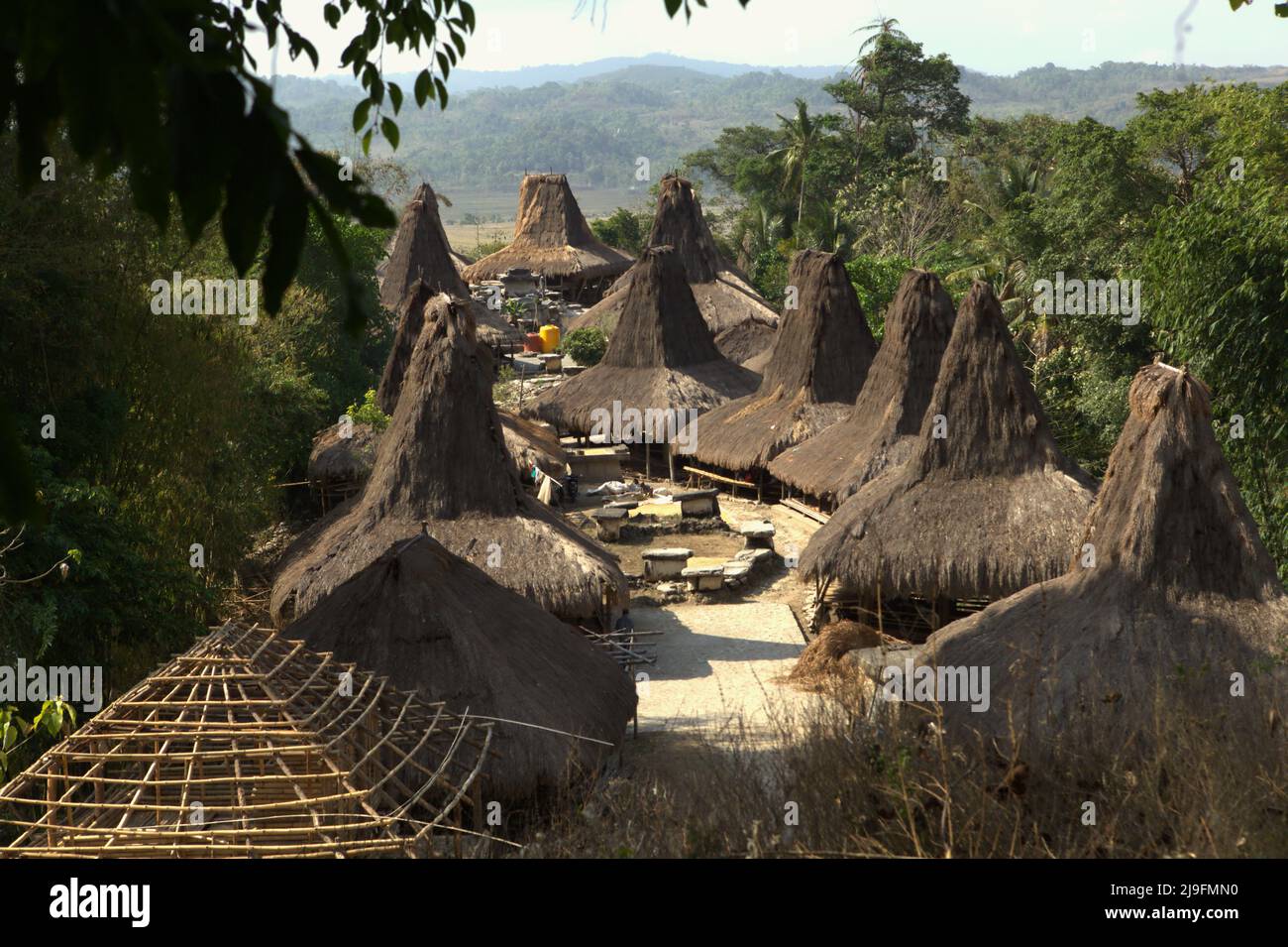 Sumbanese traditional houses in the traditional village of Praijing in ...